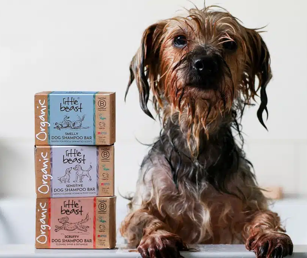 Introducing Little Beast Shampoo Bars – Little Soap Company
