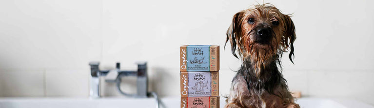 Lavender Soap - Shop Our Range | Little Soap Company